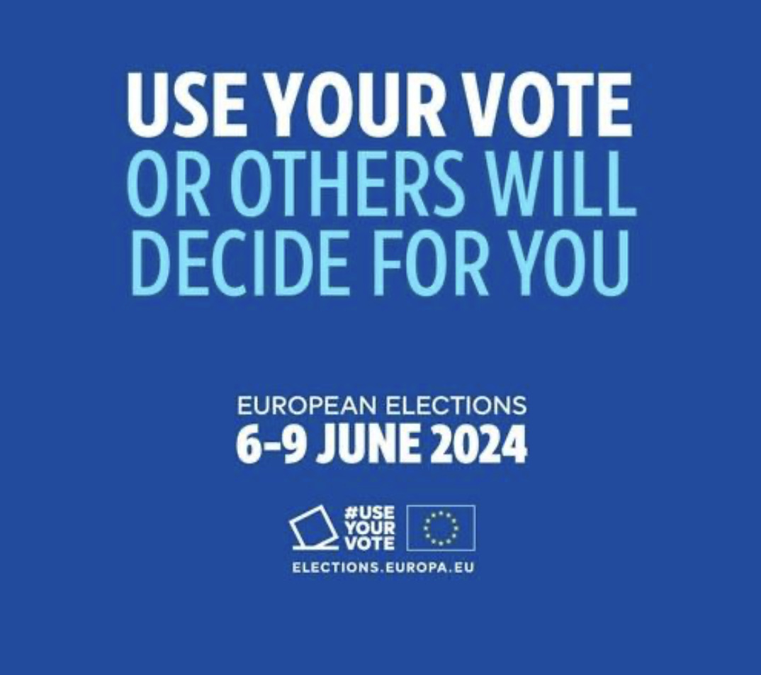 EU Parliament Elections – Get The Vote Out – The European Movement in ...